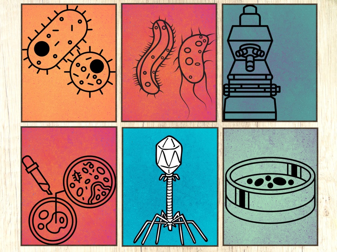 Microbiology Collection, Bacteria Art, Science, Science Art ...