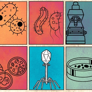 Microbiology Collection, Bacteria Art, Science, Science Art ...