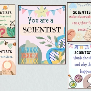 Science Class Gallery Wall, Classroom Decor, High School Middle School ...
