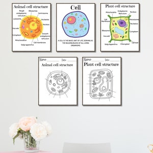 5 Set, Plant Cell Classroom Science Poster Art Printable, Science ...