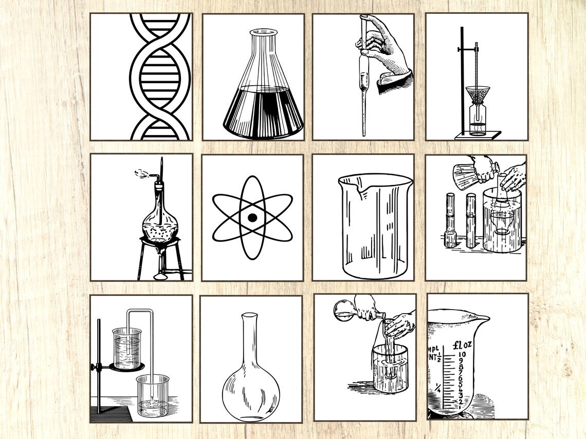 12 Science CLASSROOM POSTER Science Class Gallery Wall - Etsy