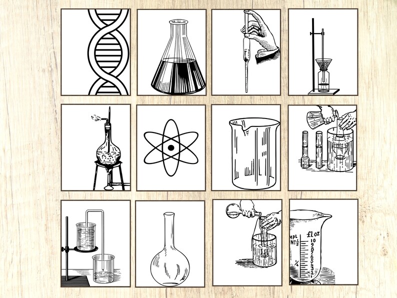 12 Science CLASSROOM POSTER Science Class Gallery Wall - Etsy