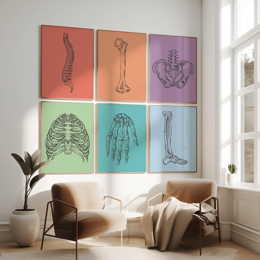 Human Anatomy Artwork Set of 6 Chiropractic Wall Art Medical Wall ...