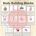 11 Science Class Gallery Wall Body Building Blocks Classroom - Etsy