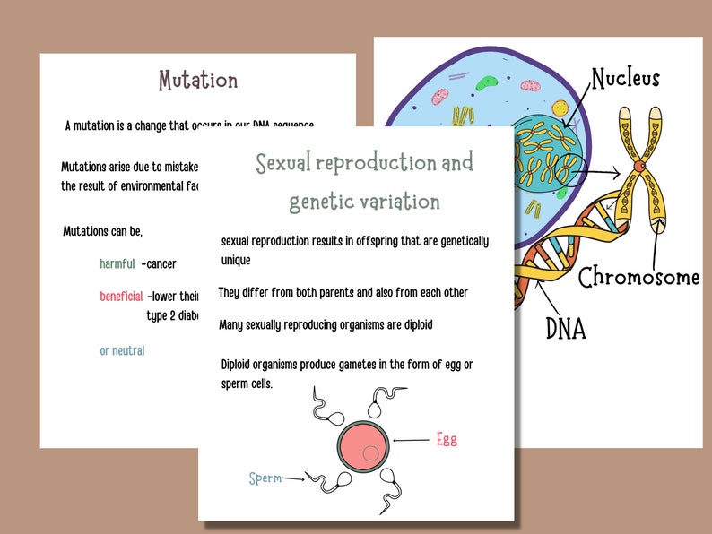 Biology Notes (inheritance and Variation), Middle School Science, High ...