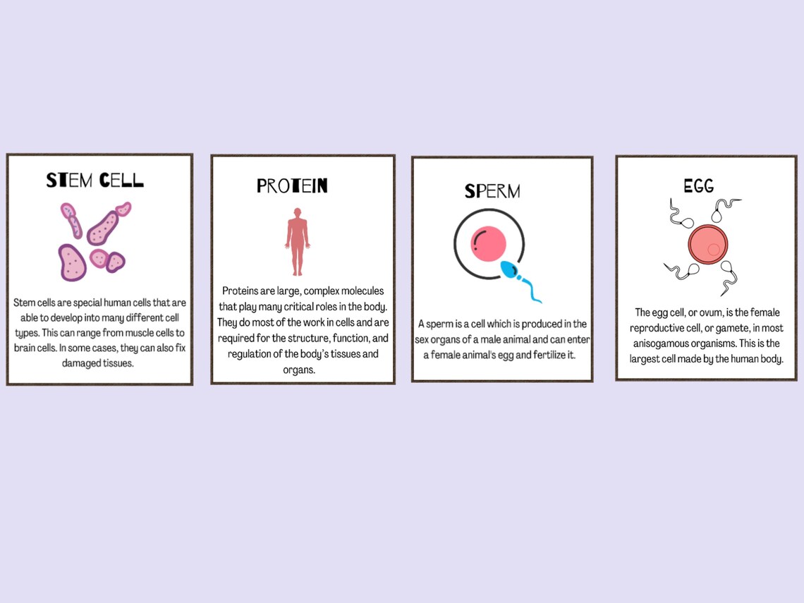 11 Science Class Gallery Wall Body Building Blocks Classroom - Etsy