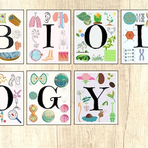 Biology Class Gallery Wall, Classroom Decor, High School Middle School ...