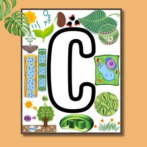 Science Class Gallery Wall Art Science Class Door Decor Science ...