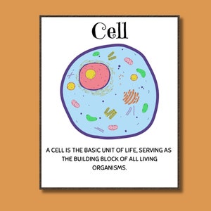 5 Set, Plant Cell Classroom Science Poster Art Printable, Science ...