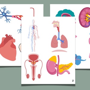Biology Printable Diagrams, Note-taking, Planning, Studying,high School ...