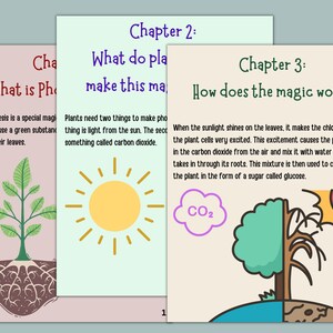 Photosynthesis Ebook, Science Study Bundle (PDF) - Etsy