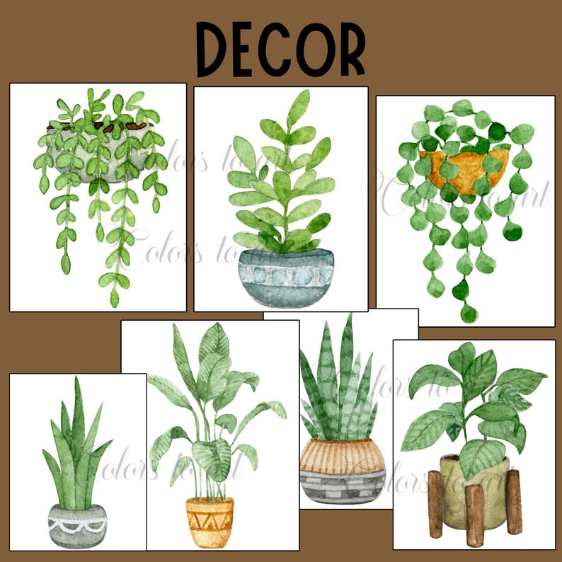 Plant Bulletin Board Kit Growth Mindset Bulletin Board Mental Health ...