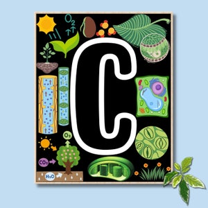 Science Decor Science Class Gallery Wall Science Art High School Middle ...