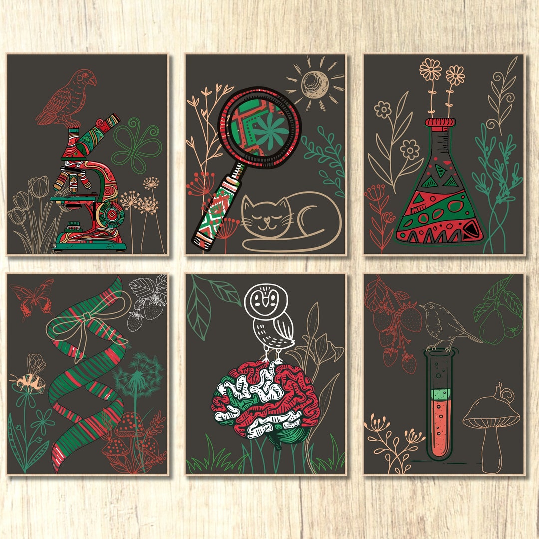 Science Doodle Wall Art Set Laboratory Chemistry Biology Science ...