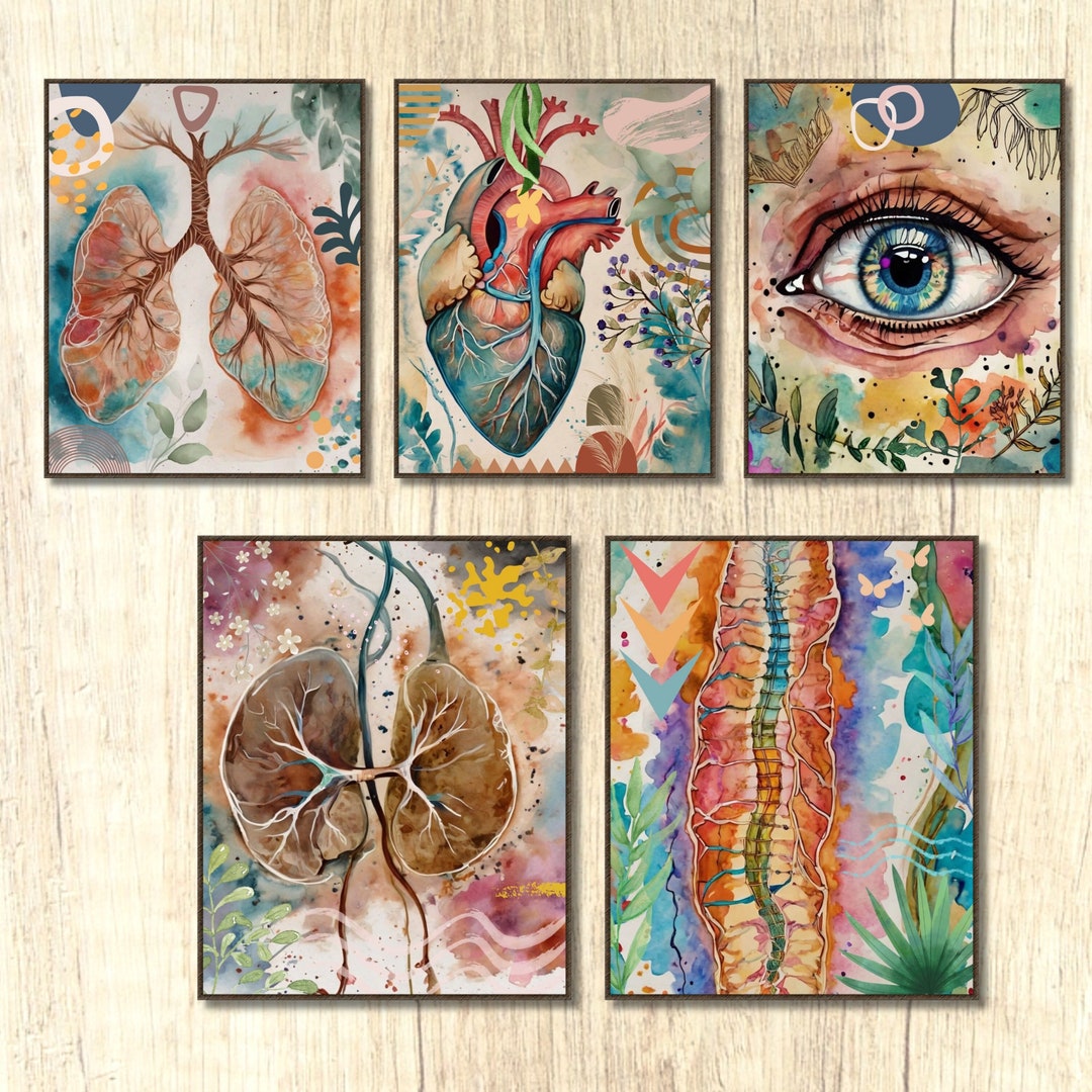 Human Anatomy Artworks, Biology Wall Art, Science Posters, Classroom ...