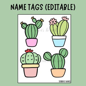 Back to School Bulletin Board Watercolor Classroom Decor Succulent ...