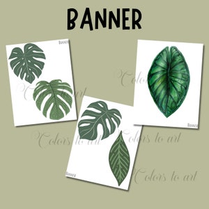 Jungle Back to School Bulletin Board Kit Classroom Decoration August ...