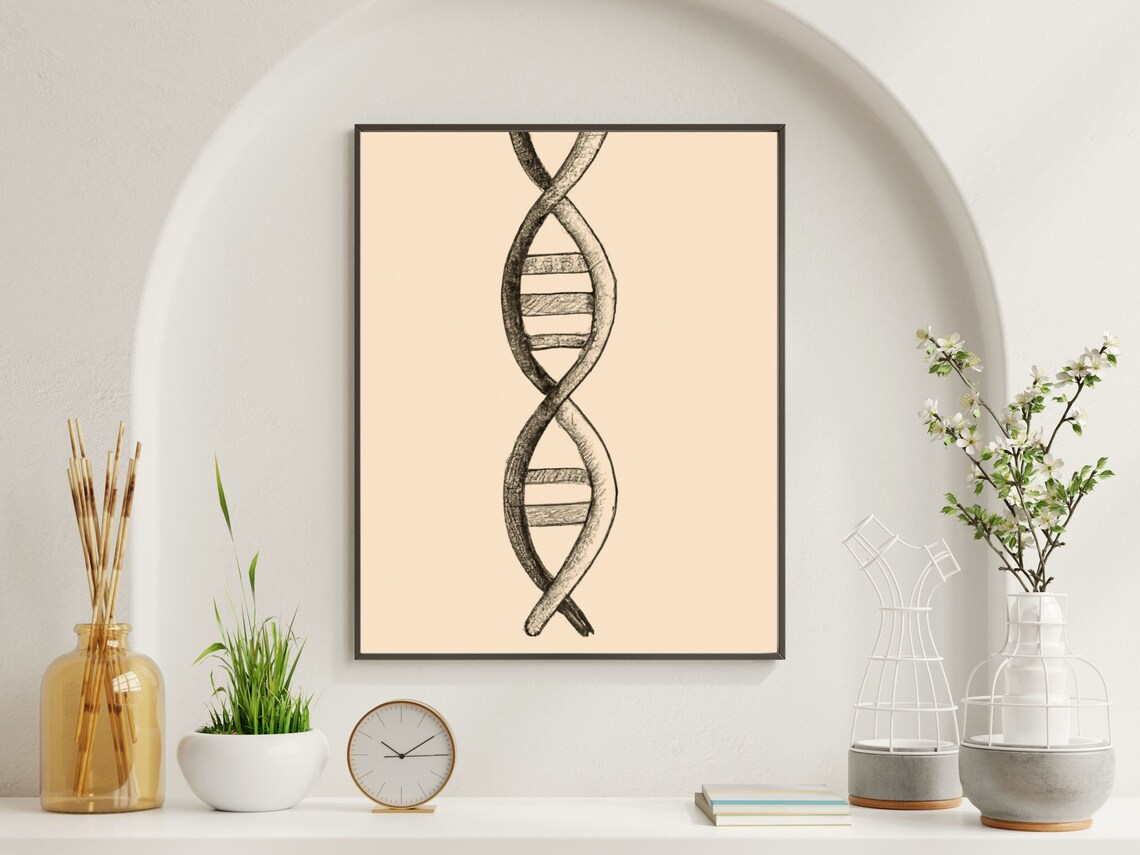 DNA Strand Wall Art Classroom Decor Science Poster High School - Etsy