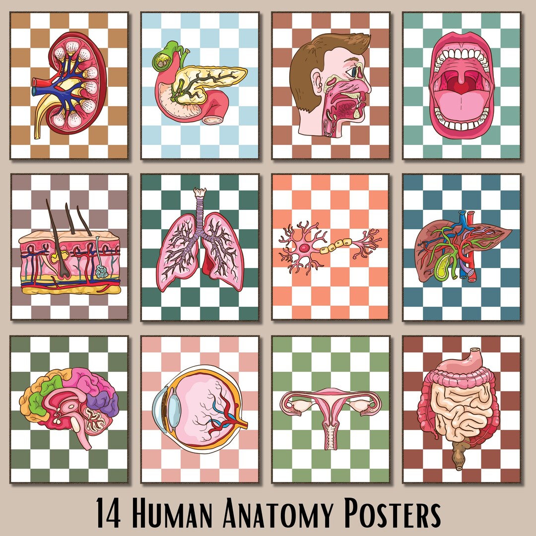 Biology Classroom Decor Human Anatomy Posters Medical Wall Pictures ...