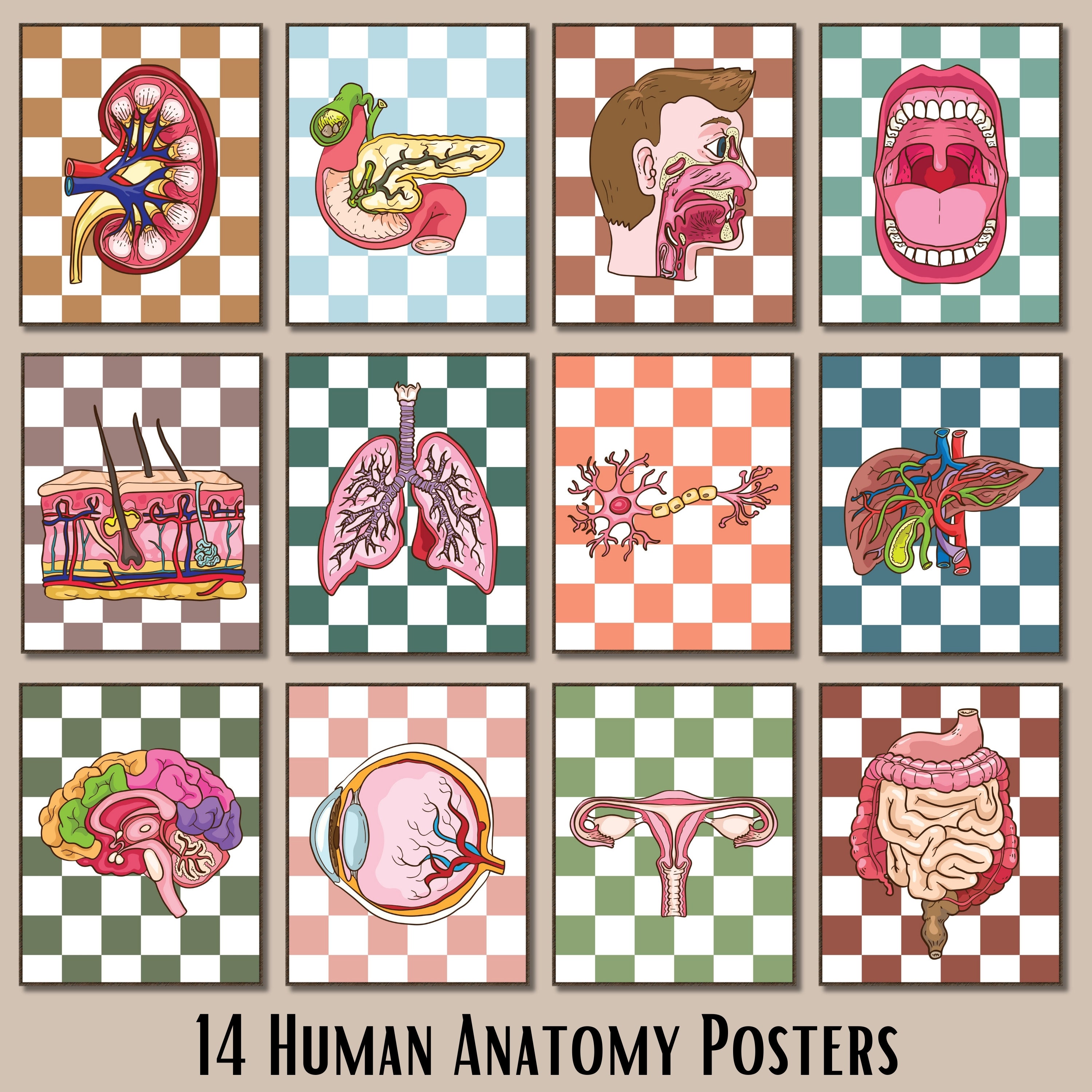 Biology Classroom Decor Human Anatomy Posters Medical Wall Pictures ...