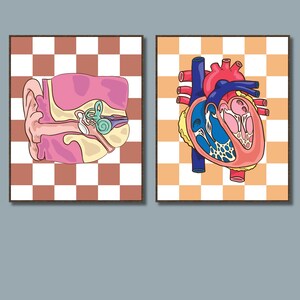 Biology Classroom Decor Human Anatomy Posters Medical Wall Pictures ...