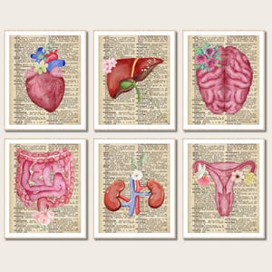 Human Anatomy Set Science Classroom Posters Science Wall Prints Biology ...