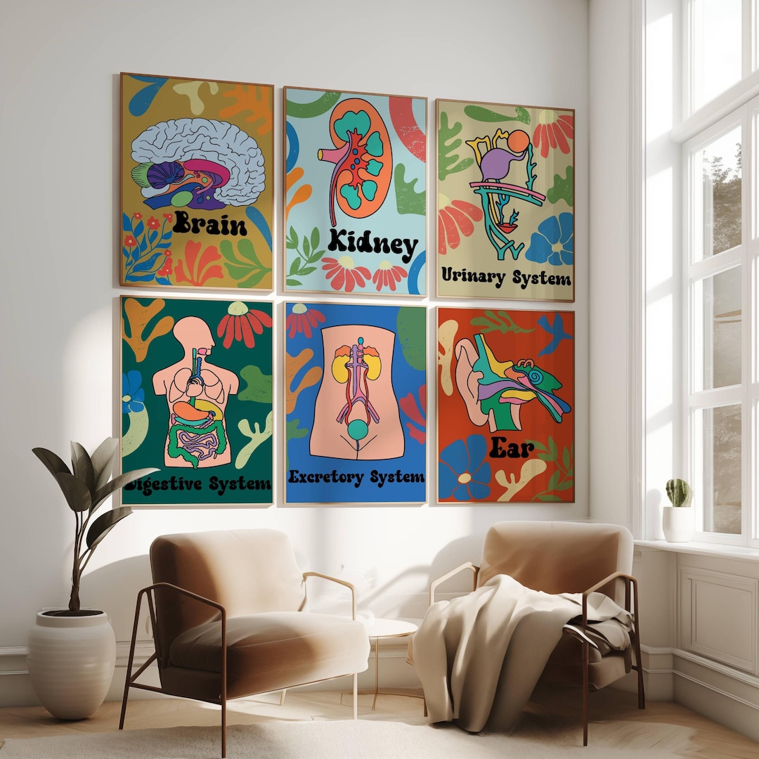 Human Anatomy Art Prints Set 6 Doctor Office Decor Medical Art Clinic ...