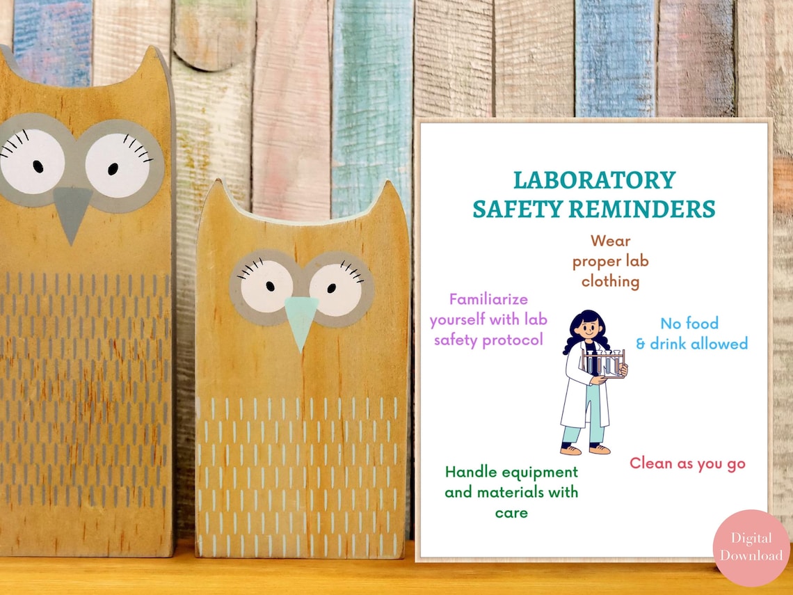 Lab Safety Poster Science Teacher Gift Digital Download | Etsy