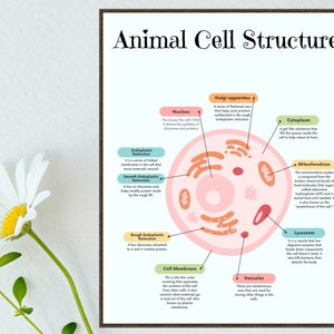 5 Set Plant Cell Classroom Science Poster Art Printable - Etsy