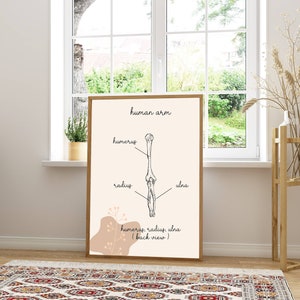 Human Anatomy Art Prints Science Posters Classroom Decor Orthopedist ...