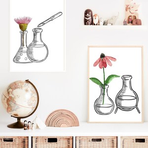 Science Decor, Science Classroom Decorations, Women in Science Poster ...