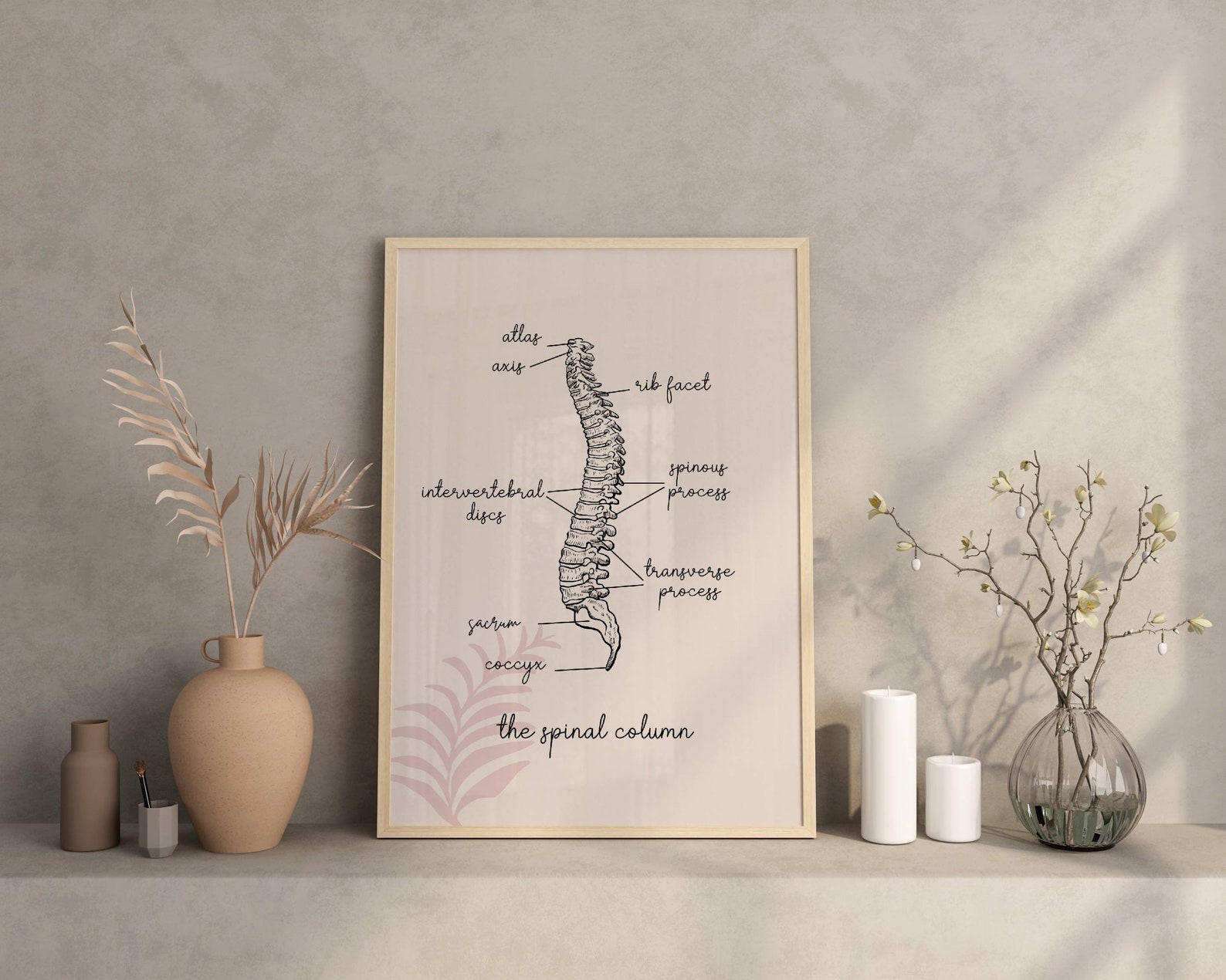 Human Anatomy Art Prints Science Posters Classroom Decor Orthopedist ...