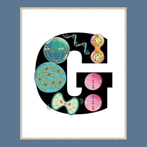 Biology Posters, Classroom Decor, High School Middle School, Science ...