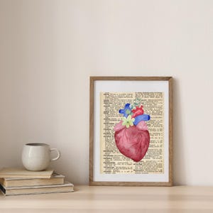 Human Anatomy Set Science Classroom Posters Science Wall Prints Biology ...