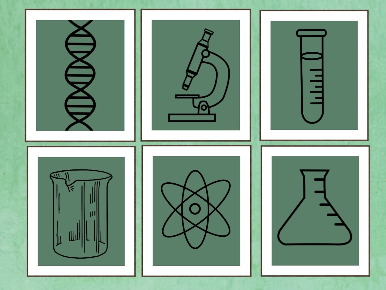 Science Class Gallery Wall, Classroom Decor, High School Middle School ...