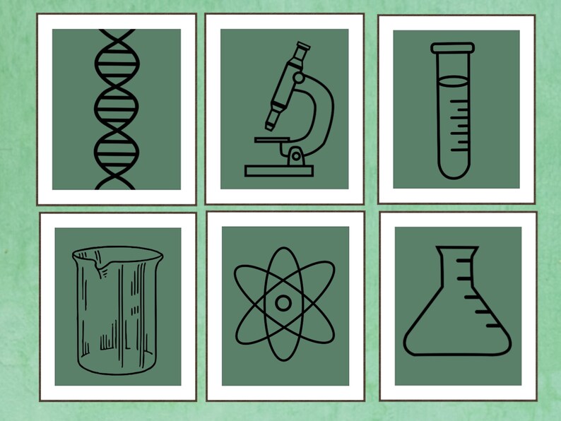 Science Class Gallery Wall Classroom Decor High School - Etsy