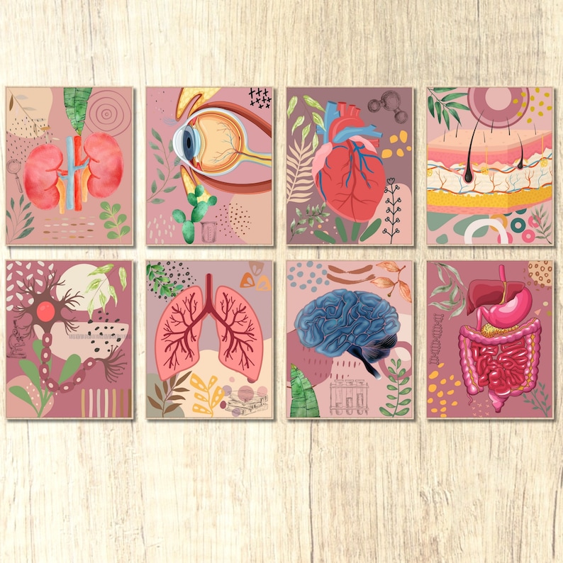 Human Anatomy Artwork Set High School Science Posters Science Class ...