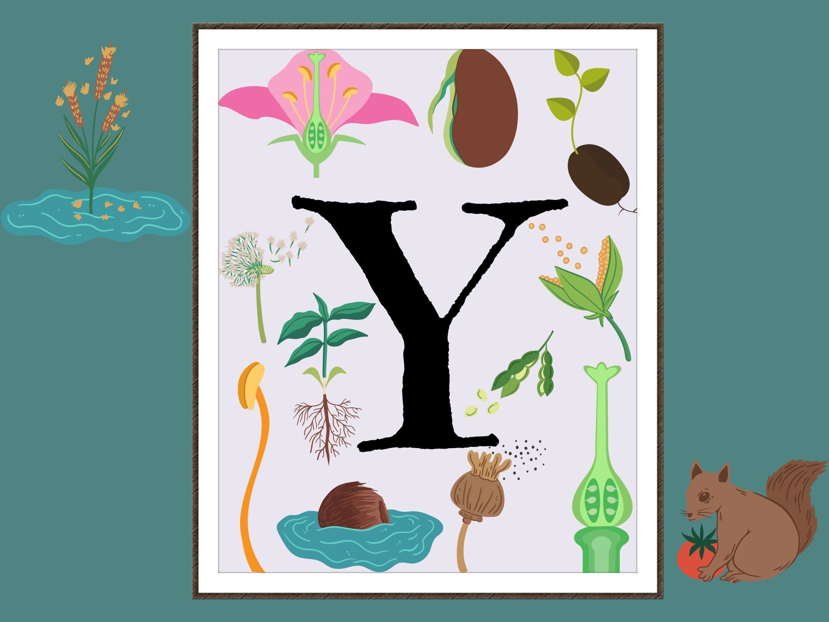 Biology Class Gallery Wall, Classroom Decor, High School Middle School ...