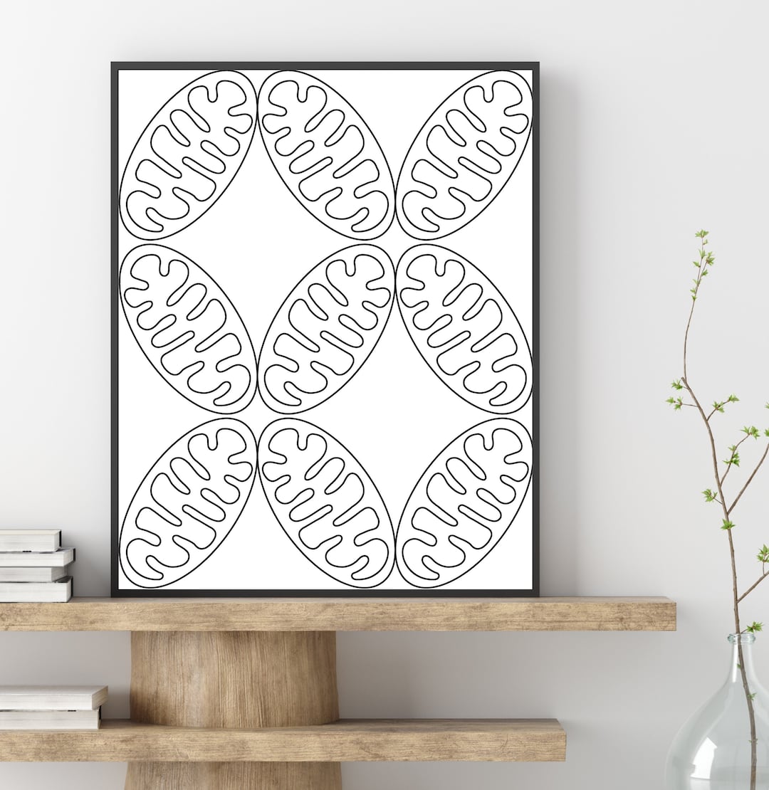 Black and White Science Art, Minimalistic Biology Art, Biology Print ...