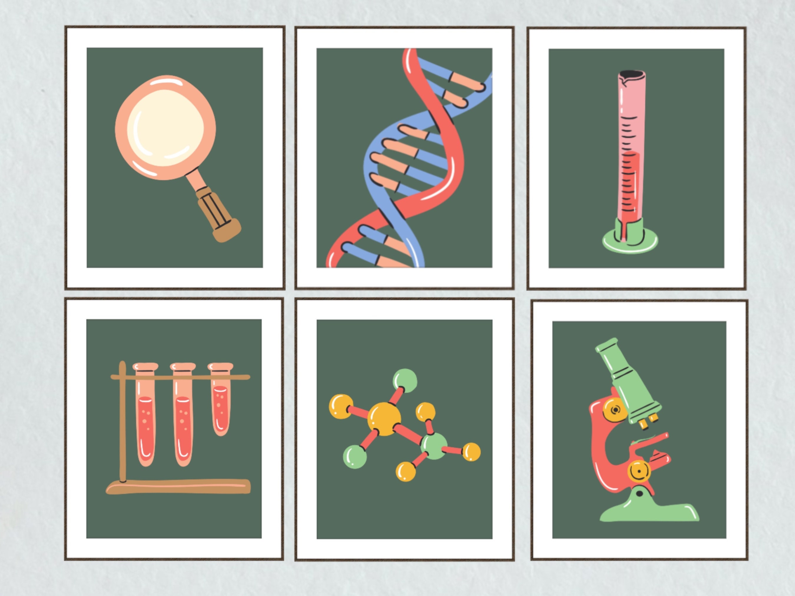 Science Class Gallery Wall, Classroom Decor, High School Middle School ...