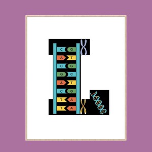 Biology Posters, Classroom Decor, High School Middle School, Science ...