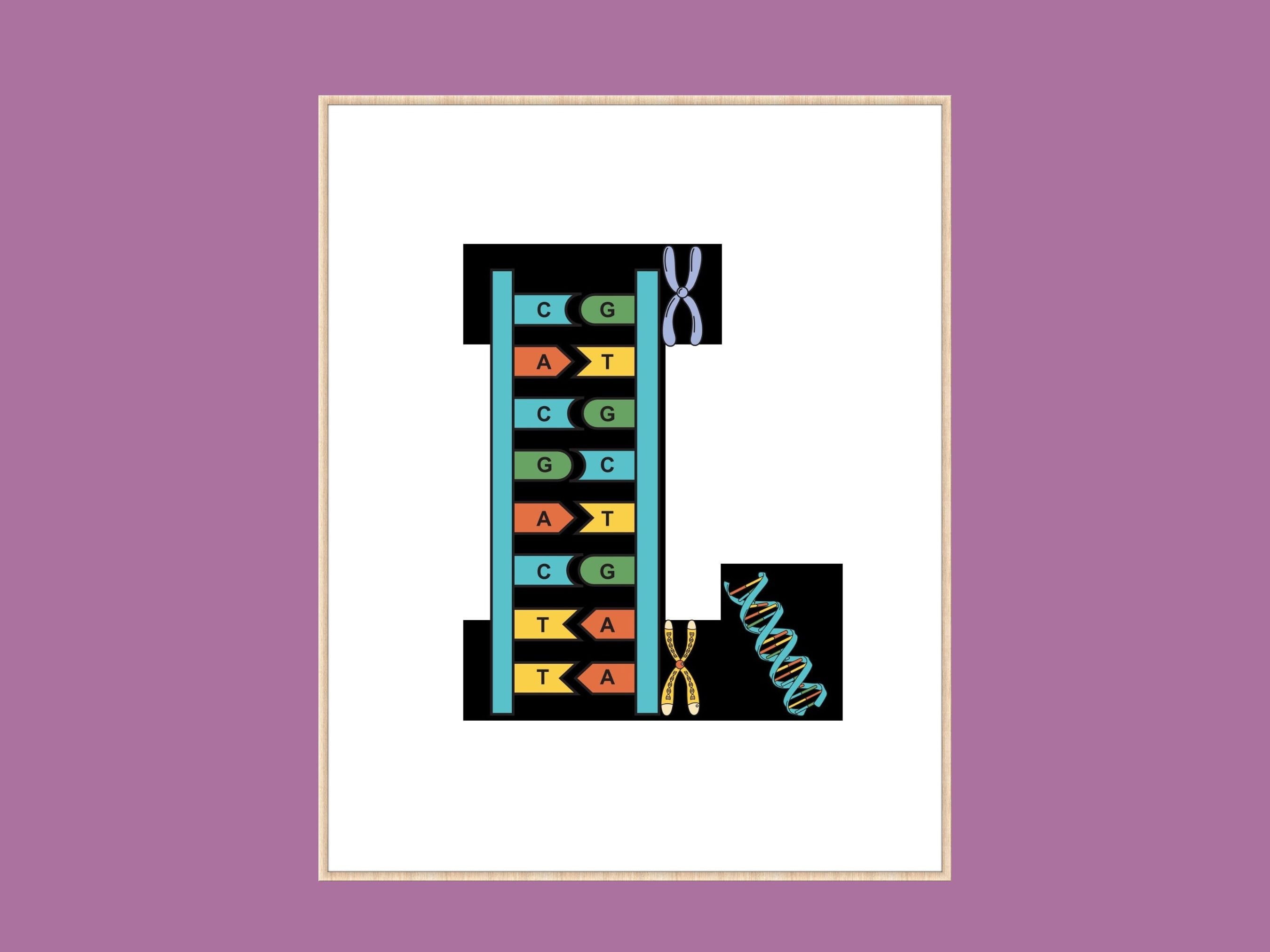 Biology Posters, Classroom Decor, High School Middle School, Science ...