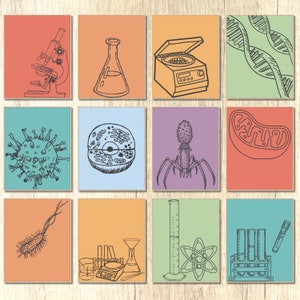 Science Classroom Poster Set Science Student Gift Biology Art Print ...