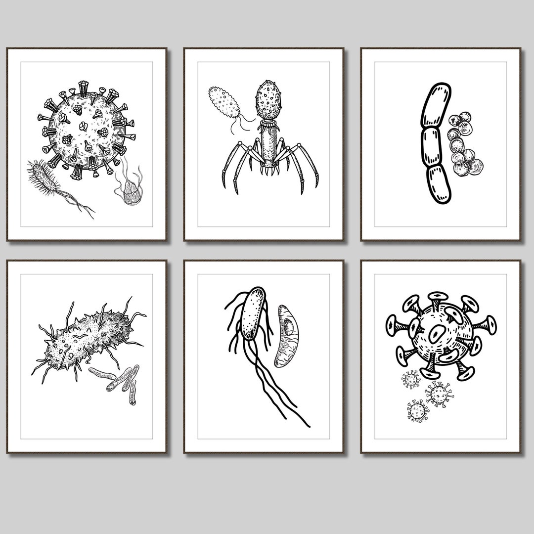 Microbiology Poster Bacteria Art Biology Student Gift Microbiologist ...