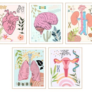 Science Wall Prints, Human Anatomy Paintings, Watercolor Print, High ...