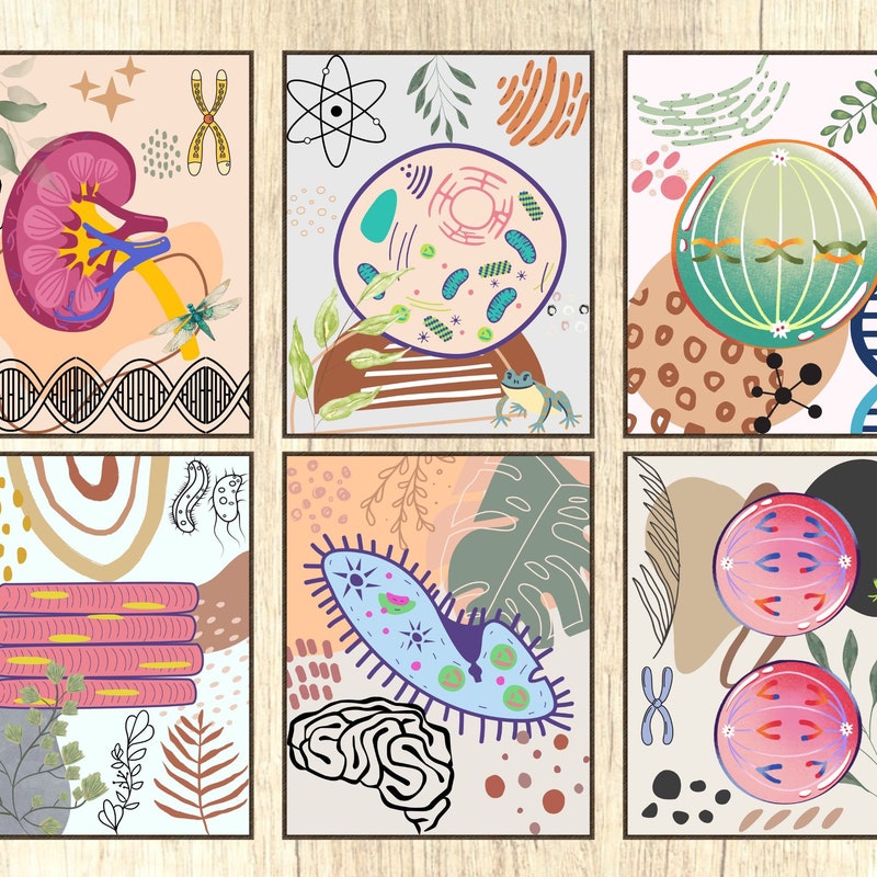 Science Print - Etsy