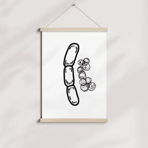 Microbiology Poster Bacteria Art Biology Student Gift Microbiologist ...