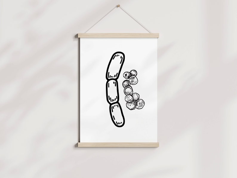 Microbiology Poster Bacteria Art Biology Student Gift Microbiologist ...