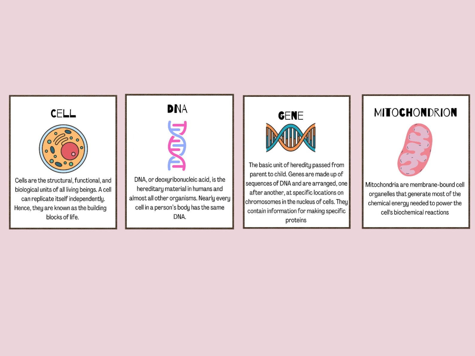 11 Science Class Gallery Wall Body Building Blocks Classroom - Etsy