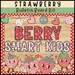 Strawberry Bulletin Board Kit Fruit Bulletin Board Modern Classroom ...